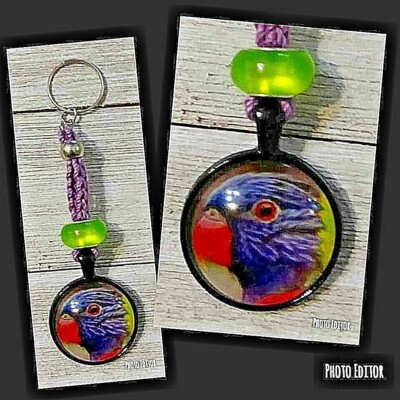 Crochet Parrot Bird Keyring Keychain Handmade in USA | eBay