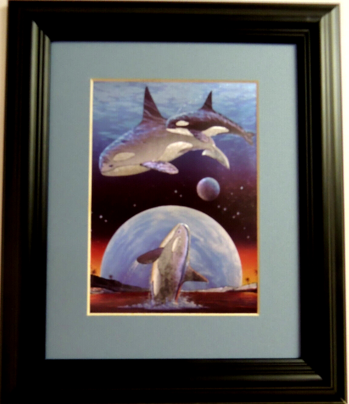 ORCA WHALE PICTURE SEALIFE ALAN METZ MATTED FRAMED FOIL PRINT 8X10 | eBay