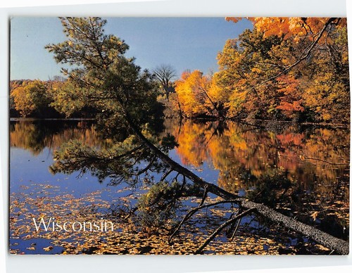 Postcard Fallen Leaves in Embarrass River Wisconsin USA | eBay
