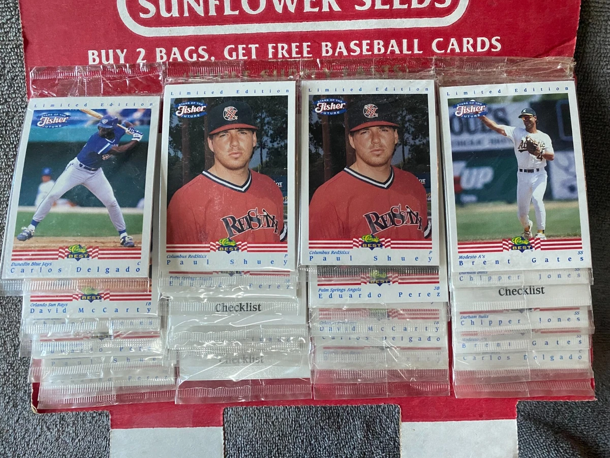 Sunflower Seeds Bag Baseball