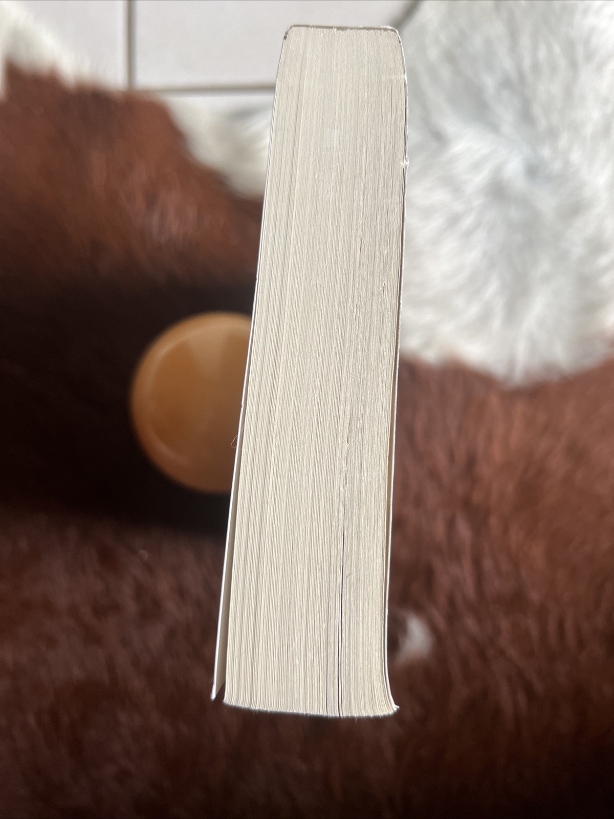 Auschwitz A New History by Laurence Rees | eBay