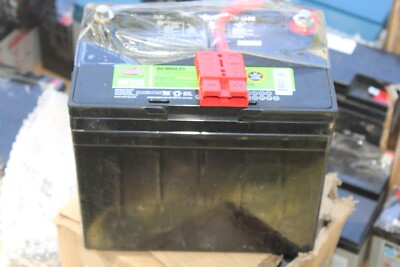 Interstate Batteries 12V 35Ah AGM Deep Cycle Battery (DCM0035) Group 24 ...