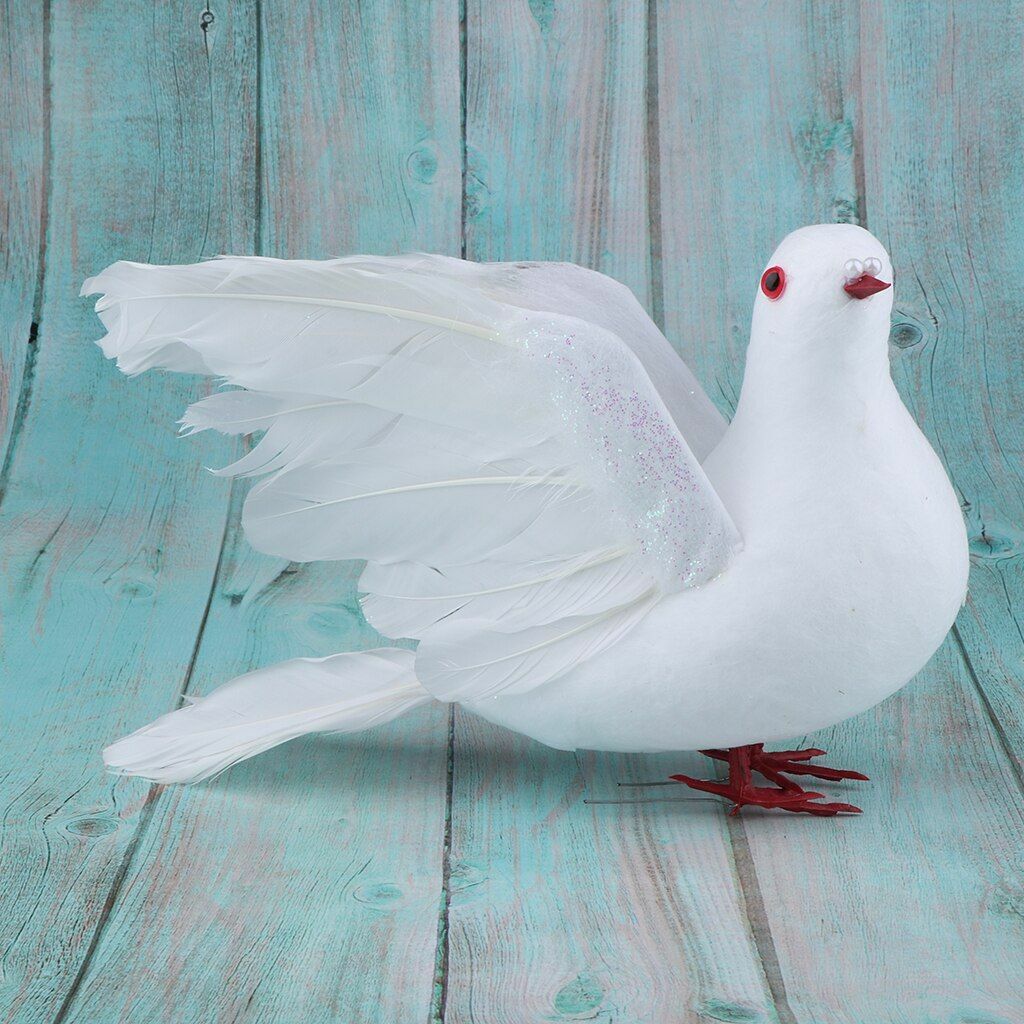Dove Bird For Wedding