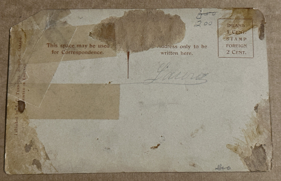 THE MARKET HAMILTON CANADA - OLD POSTCARD UNUSED | eBay