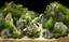 Aquarium Stone Seiryu Rock Natural Fish Tank Aquascape Decoration GREY ...