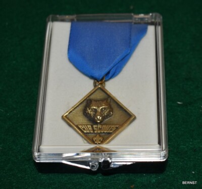 BOY SCOUT - CUB SCOUT DEN LEADER COACH AWARD | eBay