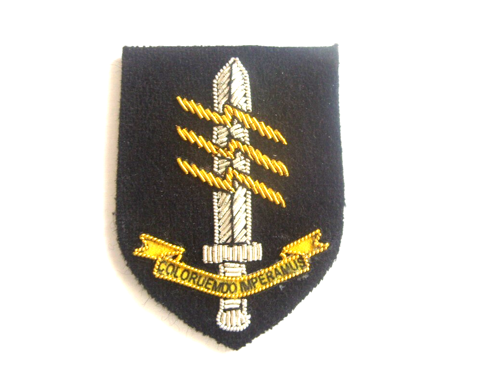 18 SIGNAL REGIMENT SAS OFFICER QUALITY BERET & ALL RANKS CAP BADGE UKSF ...