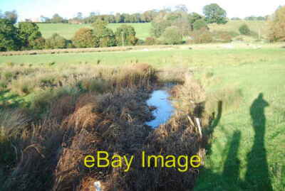 Photo 6x4 A reed filled pond in the Tillingham Valley Rye c2010 | eBay