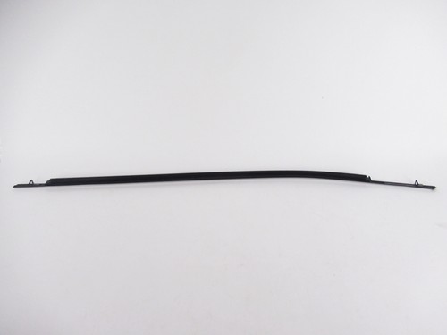 Genuine OEM Toyota 75710-06210 Passenger Front Belt Molding Sweep 2018 ...