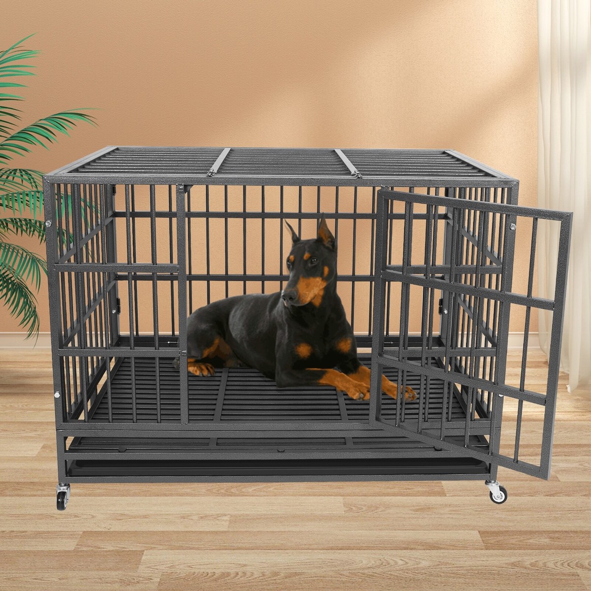 Empty Dog Crate