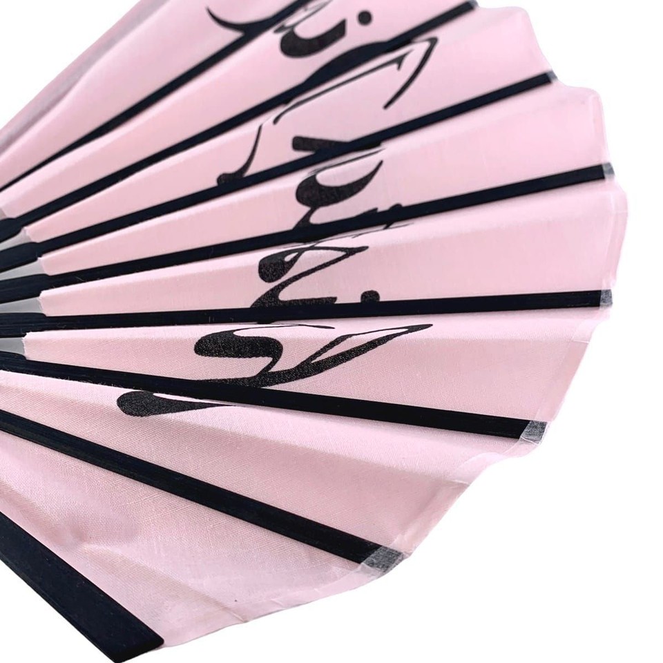 Christian Dior Folding Fan Handy Fan only Japan Sensu Novelty Rare Pink ...