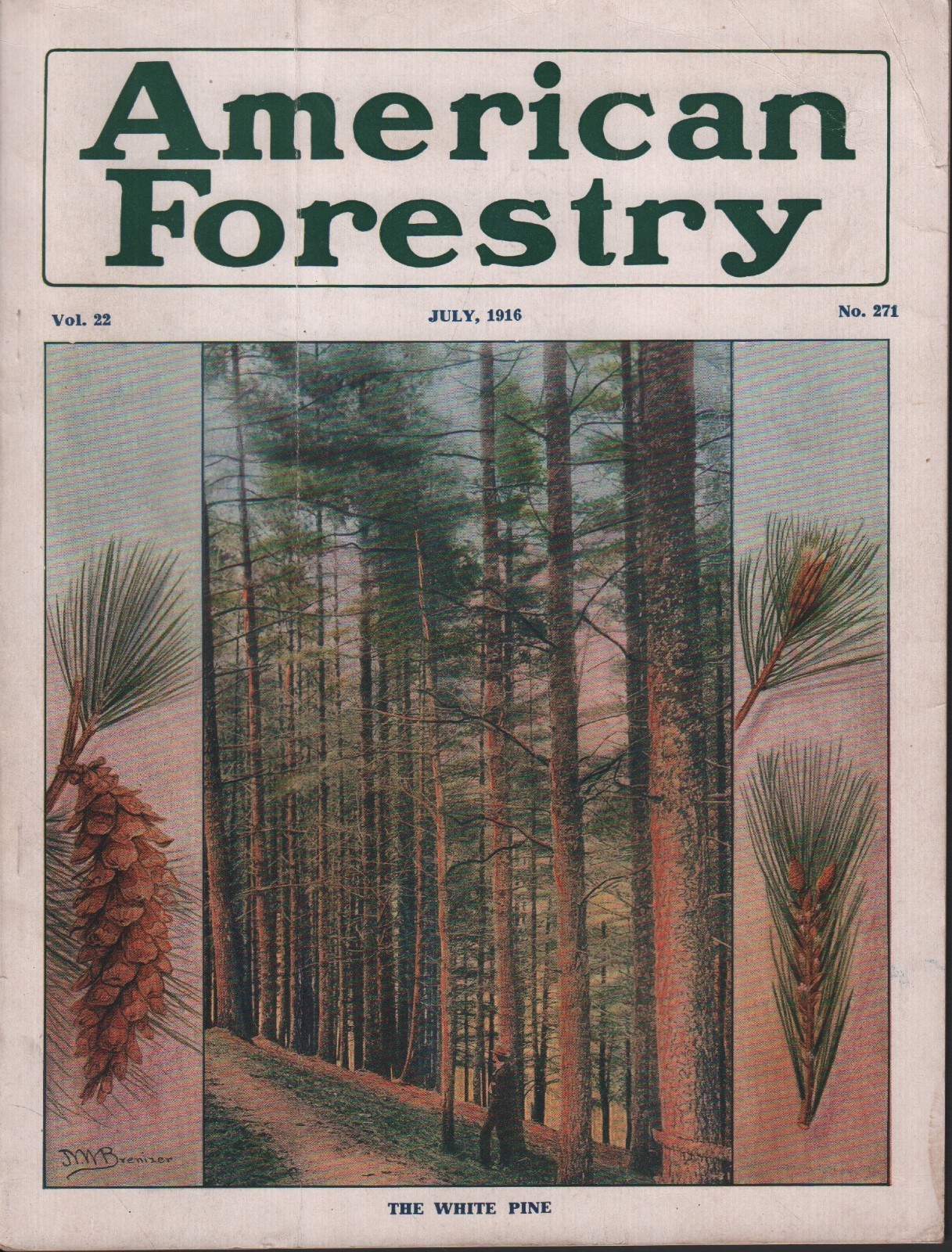 American Forestry July 1916 Henry Reed Hopkins Samuel Detwiler ...