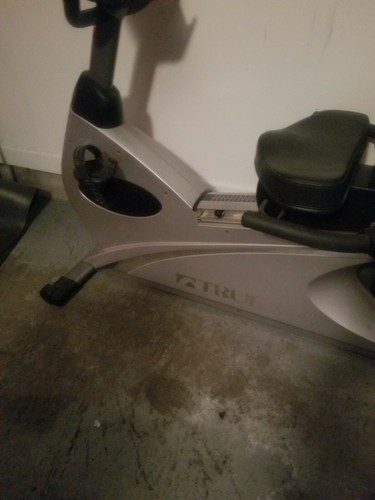 True Z5 recumbent exercise bike stationary | eBay