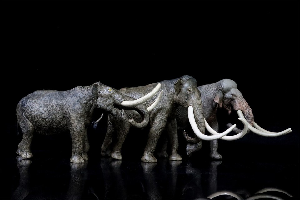 Eofauna 1/35 Mastodon Mammut Figure Adult Kid Collections Toys Gift ...