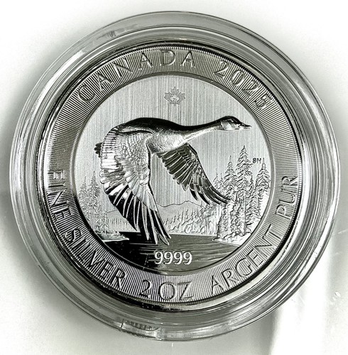 2025 Canada Goose 2 oz 0.9999 BU Silver Coin in capsule | eBay