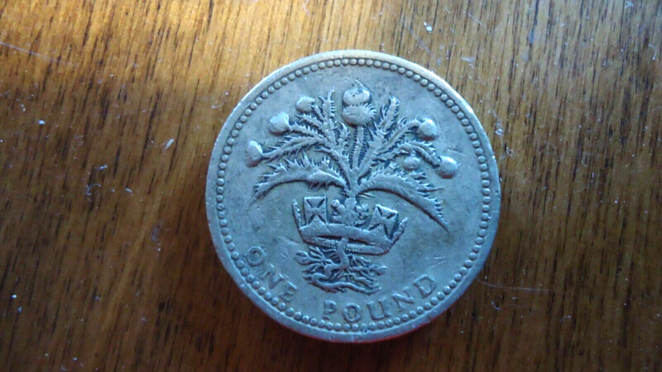 1984 Elizabeth II D G REG F D Scottish Thistle One Pound Circulated Coin | eBay