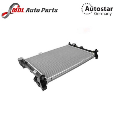 Autostar Germany Radiator 0603 For Mercedes Benz E350 E550 CLS550 ...