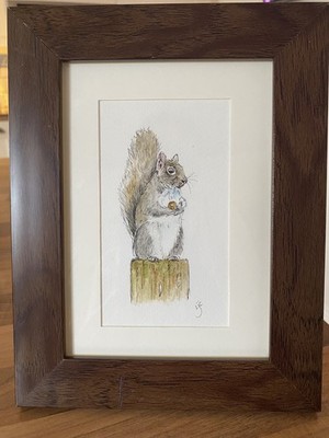 ORIGINAL (Not A print!) Framed Painting Grey Squirrel by Lisa EVANS ...