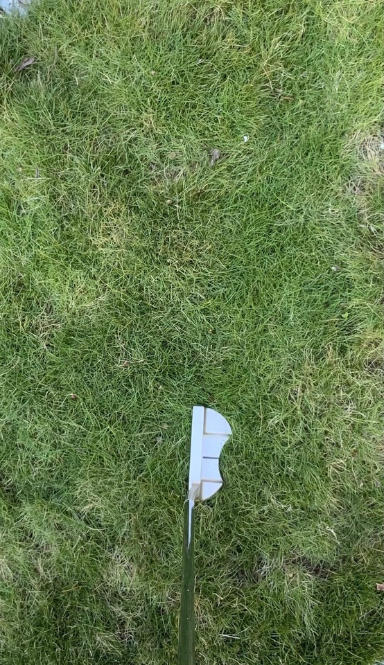 David Whitlam, Guage Design Putter, 1 of 100, rare, 8802 style | eBay