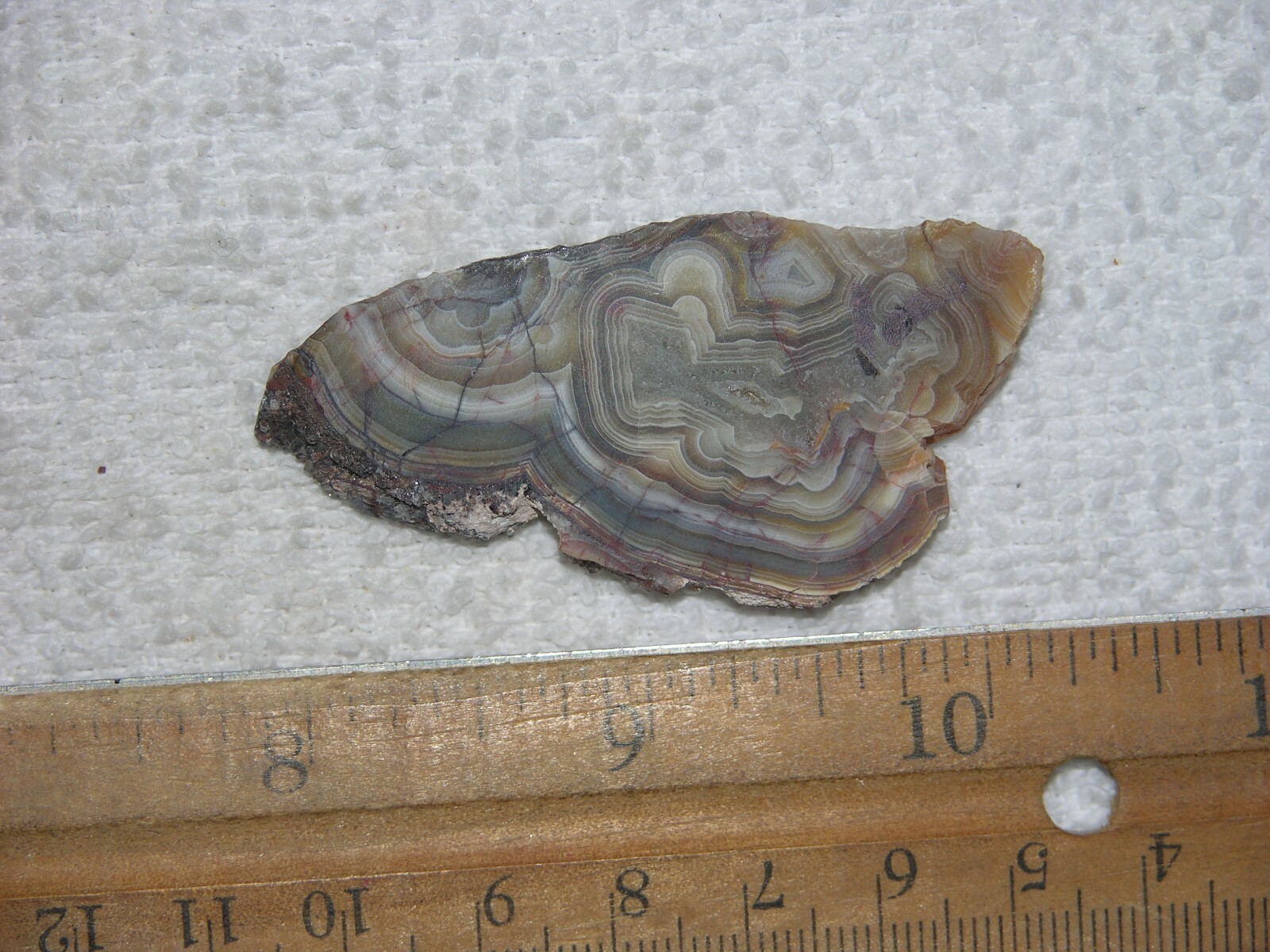 Laguna agate geode cut slice Mexico 1 x 2 1/4 inch G309 | eBay