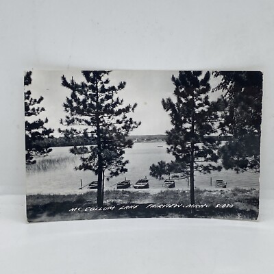 Vintage RPPC McCollum Lake, Fairview, Michigan | eBay