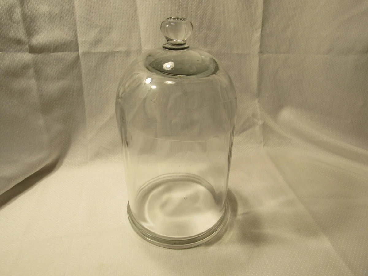 Bell Jar Model