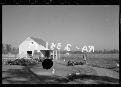 Zeb Atkinson, homesteader, Penderlea Farms, North Carolina 1940s Old ...