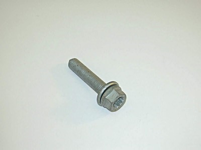Genuine AUDI VW Multi Point Socket Head Bolt W. Collar N91148901 | eBay