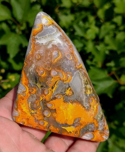 BEAUTIFUL NATURAL RARE CELLULAR- BUMBLEBEE JASPER, 256G FREEFORM DISPLAY PIECE | eBay