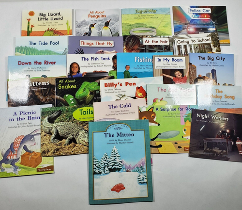 Lot of 24 Fountas & Pinnell LLI Blue System Levels BCD Leveled Literacy ...