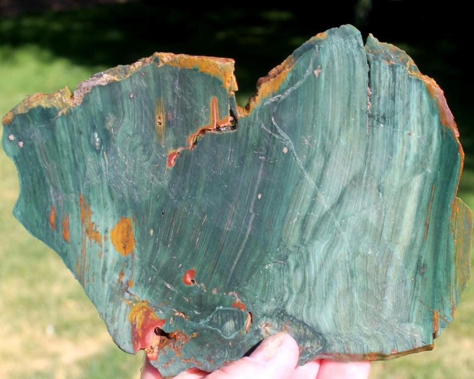 GARY GREEN LARSONITE FREEDOM JASPER SLAB 265 Gram Fossil/Mineral/agate ...