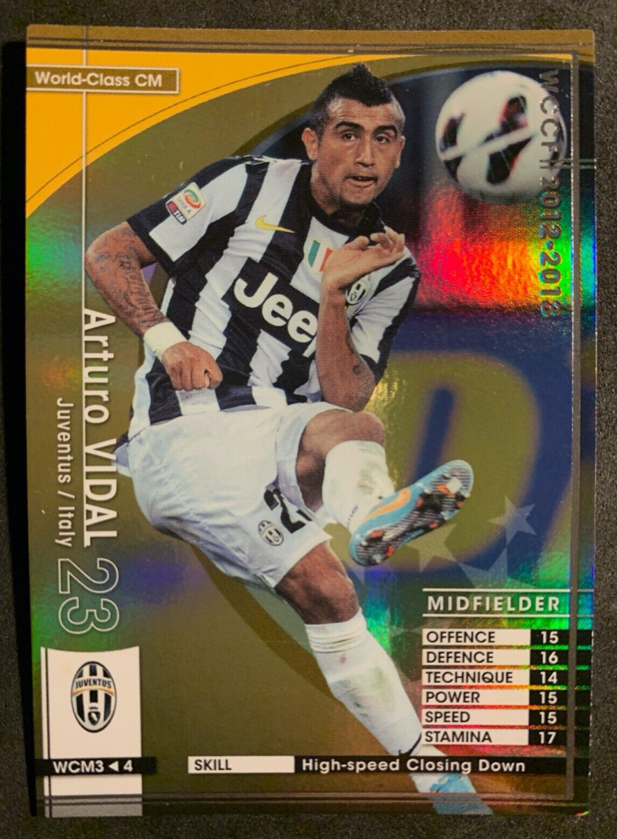 Arturo Vidal 2013