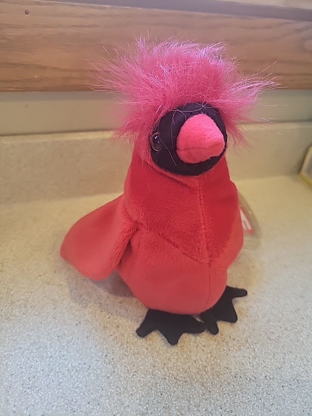 1998 Ty Beanie Mac the Cardinal Birthdate 6/10/1998 Red Bird Free ...