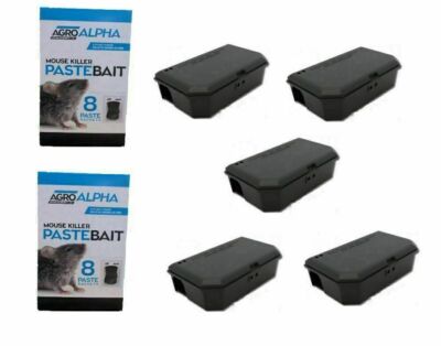 Mouse poison bait blocks Alpha x 2 can kill mice in minutes + 5 ...
