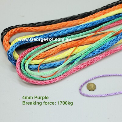 4mm 1700kg HMPE / UHMWPE Dyneema rope Sold per Meter | eBay
