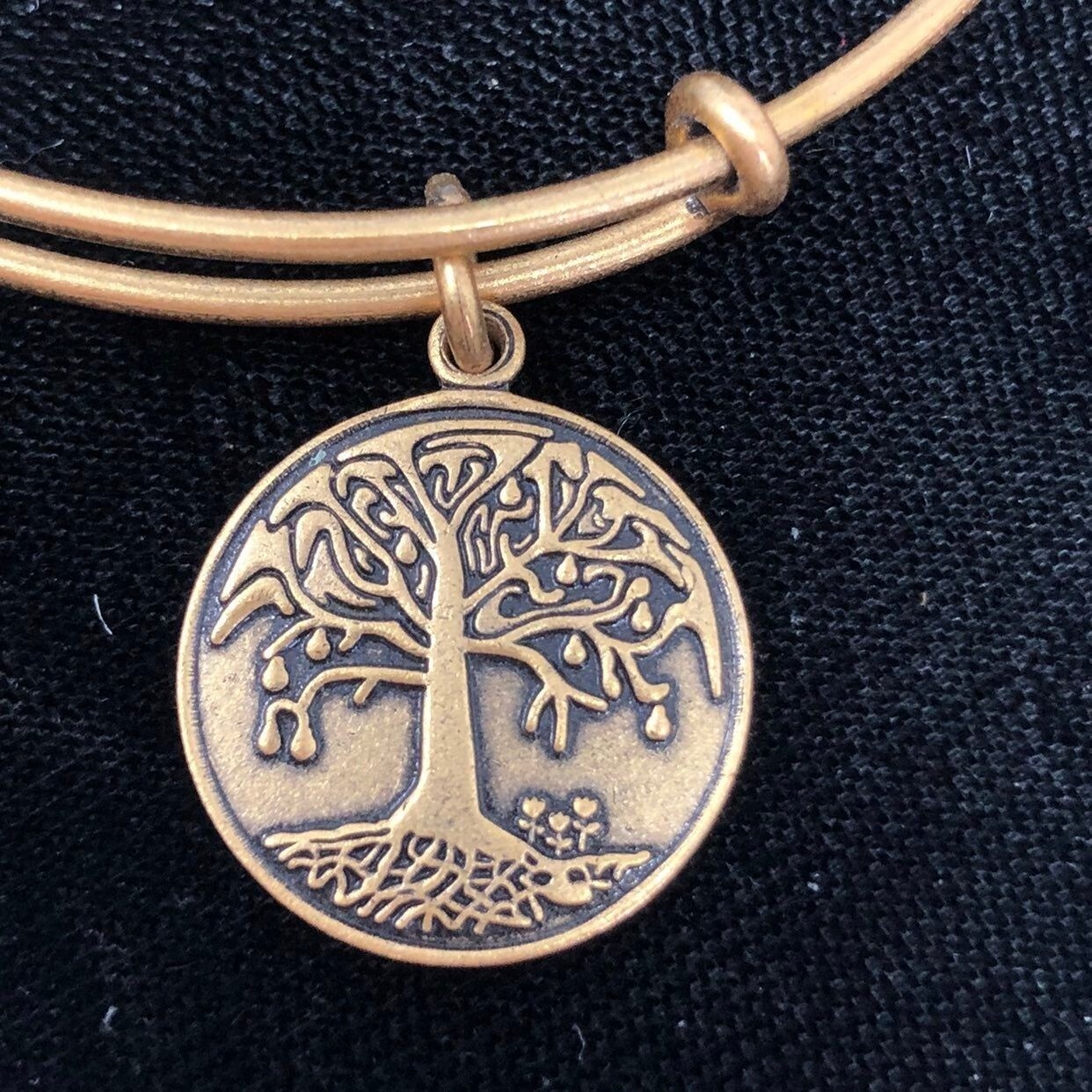 Alex and Ani Tree of Life Charm Bracelet 2015 - Gem