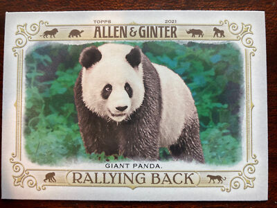 2021 Topps Allen and Ginter Rallying Back #RB-2 Giant Panda | eBay