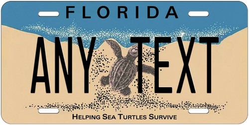Florida 2000 State Sea Turtles Personalized License Plate Tag For Auto ...