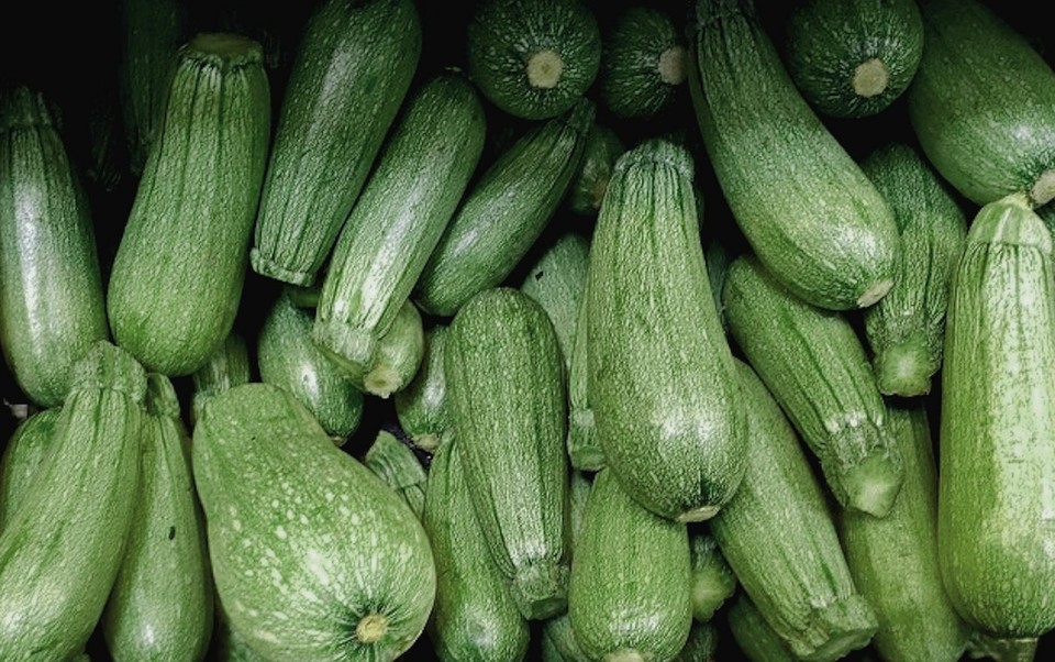 Grey Zucchini Heirloom Seeds Gourmet Squash Non GMO High Yield Mild ...