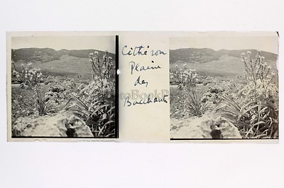 Grece Greece Cithéron Κιθαιρ Ώ Νας Platte De Verre Stereo Positive | eBay