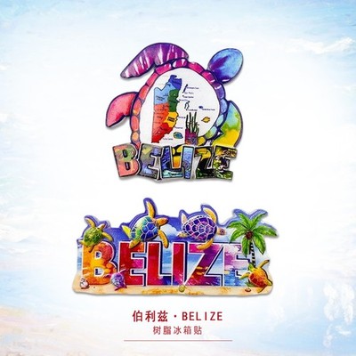 Belize Turtle 3D Fridge Magnet Tourist Souvenir Resin Refrigerator ...