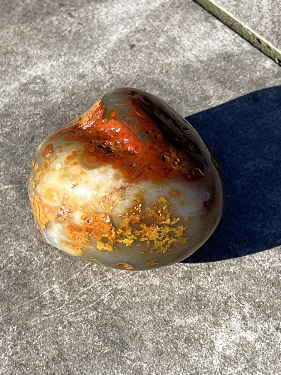 Lake Superior Eye Agate