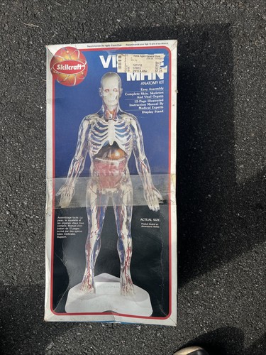 Visible Man Anatomy Plastic Model Kit #74622 With Stand By Skilcraft ...