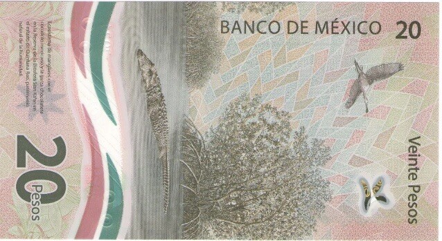 Mexico 20 Pesos Circulated Banknote. Twenty Mexican Peso Bill Note ...
