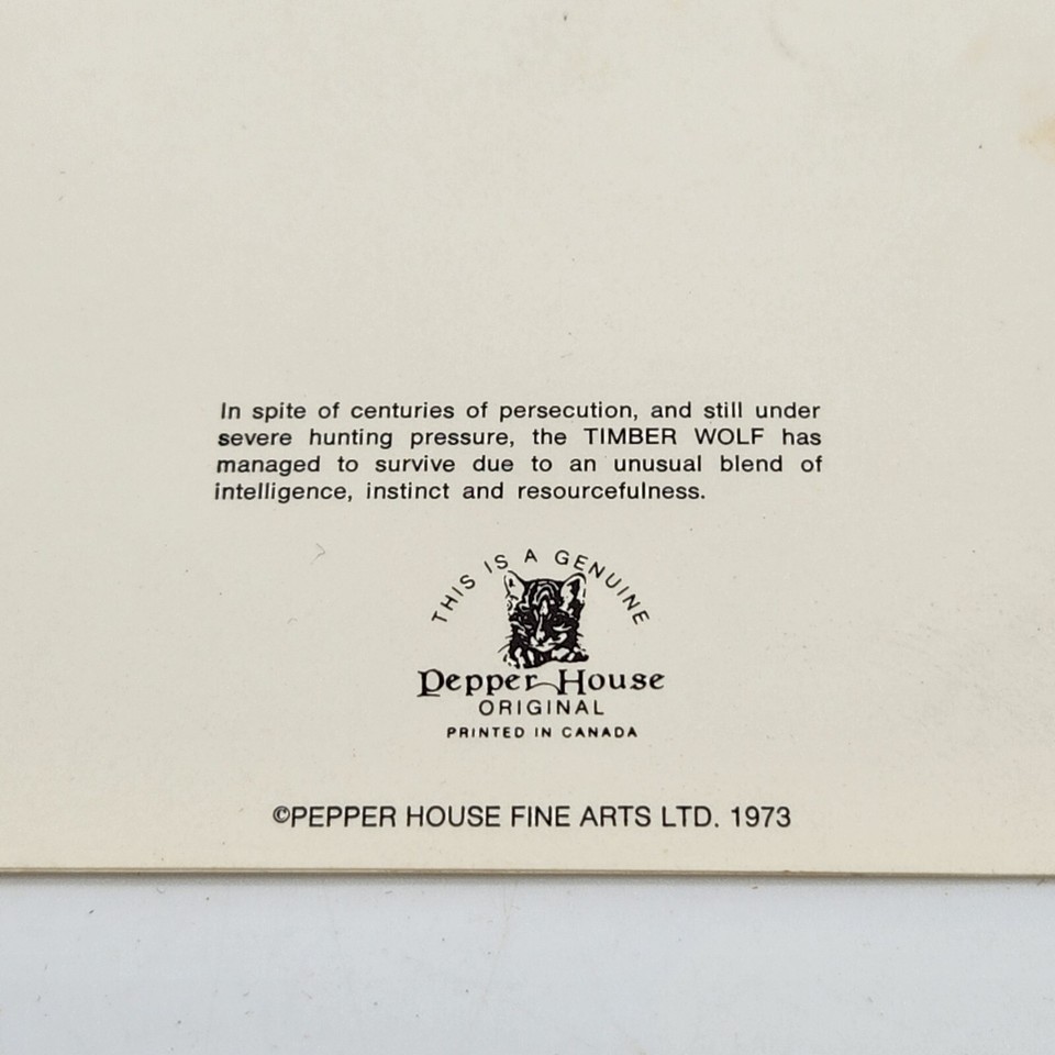 1973 J. Sharkey Thomas Artist Pepper House Notecards WOLF POLAR BEAR ...