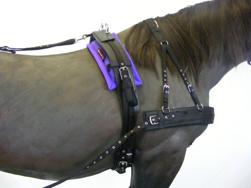 POLYPADS HORSE/PONY DRIVING NUMNAHS/PADS | eBay