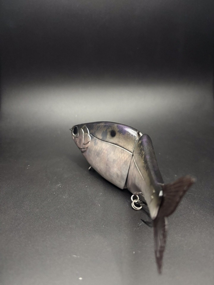 CUSTOM PAINTED HINKLE SHAD JR Glide Bait Modified | eBay