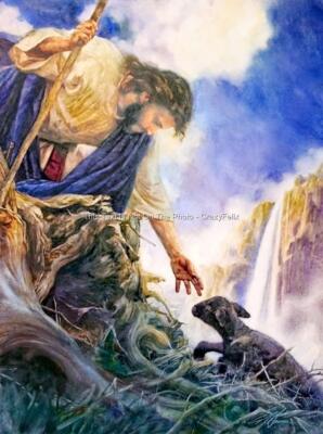 Posters, Prints & Pictures - Jesus With Lamb