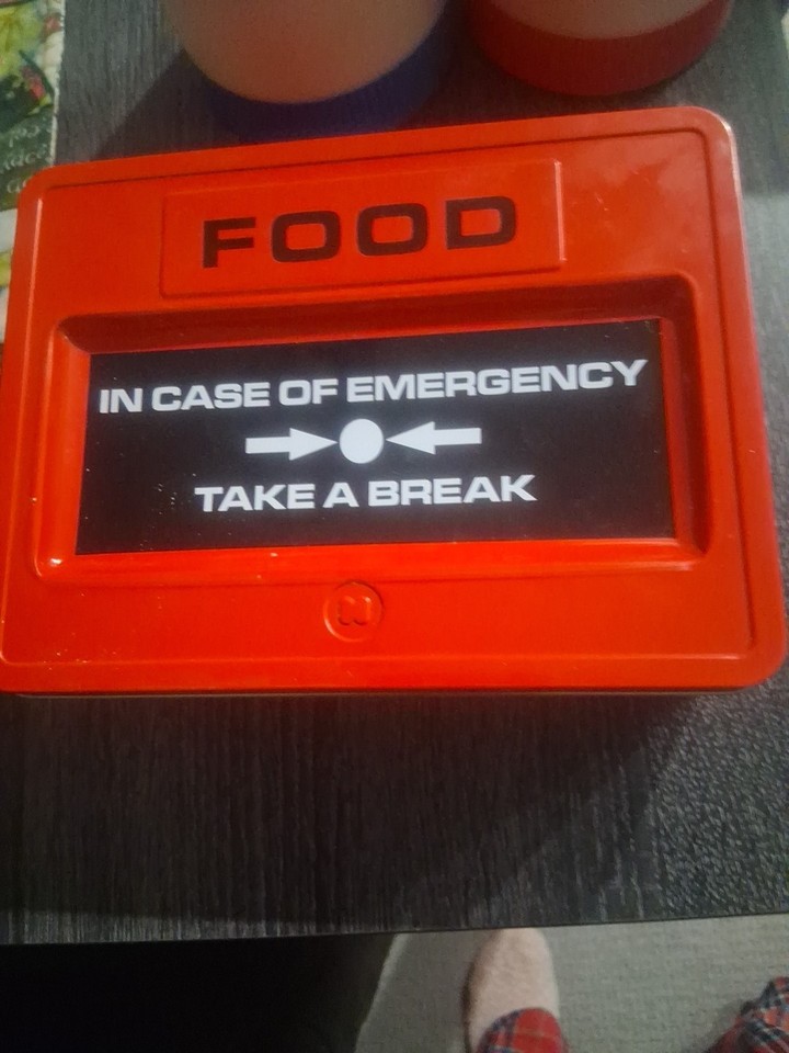 In Case of Emergency Lunch Box by Made 2 Aladdin Insulated Aladdin Food ...
