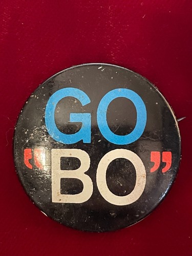 GO BO Gubernatorial Election 1966 Campaign Bo Callaway Georgia Governor ...